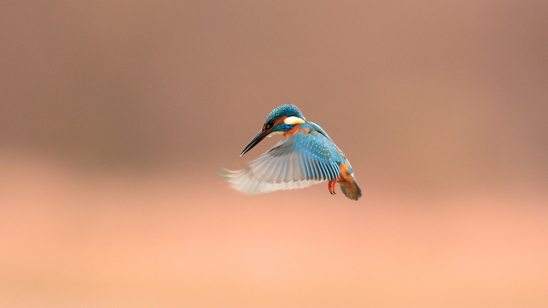 First Flight Wallpapers on WallpaperDog