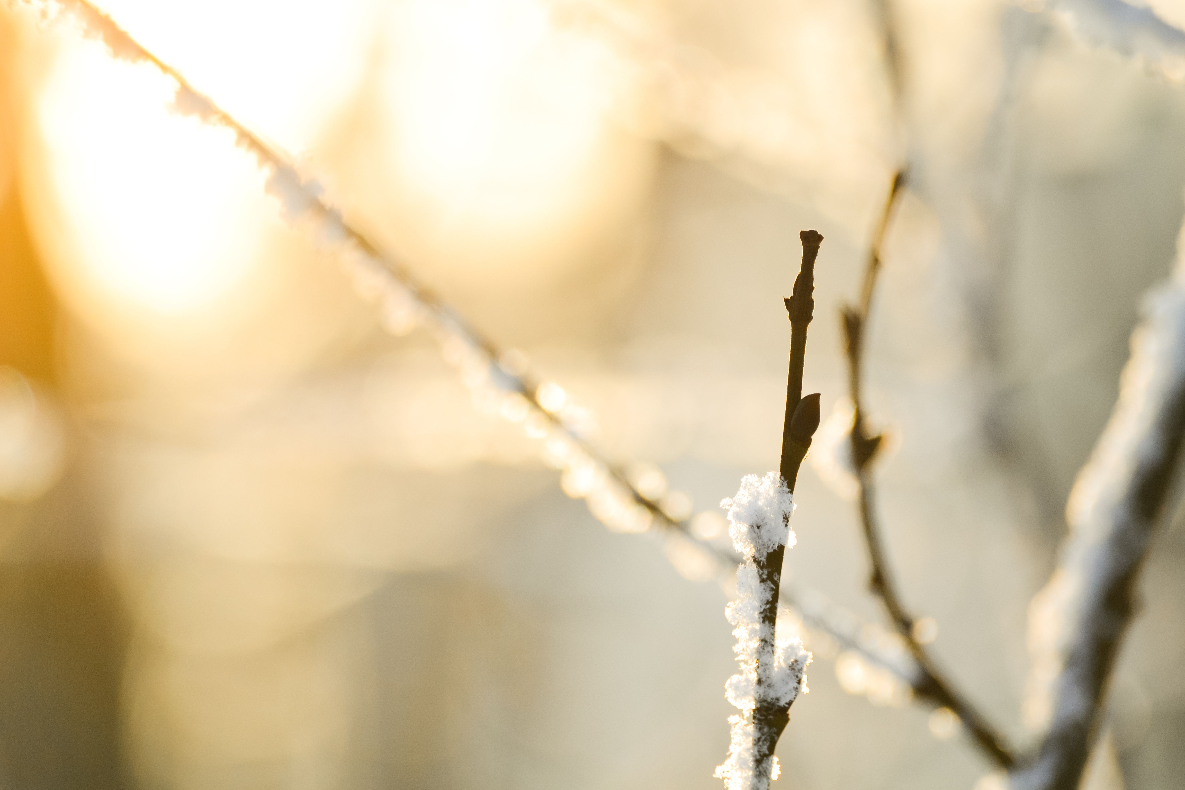 Melting Snow Wallpapers on WallpaperDog