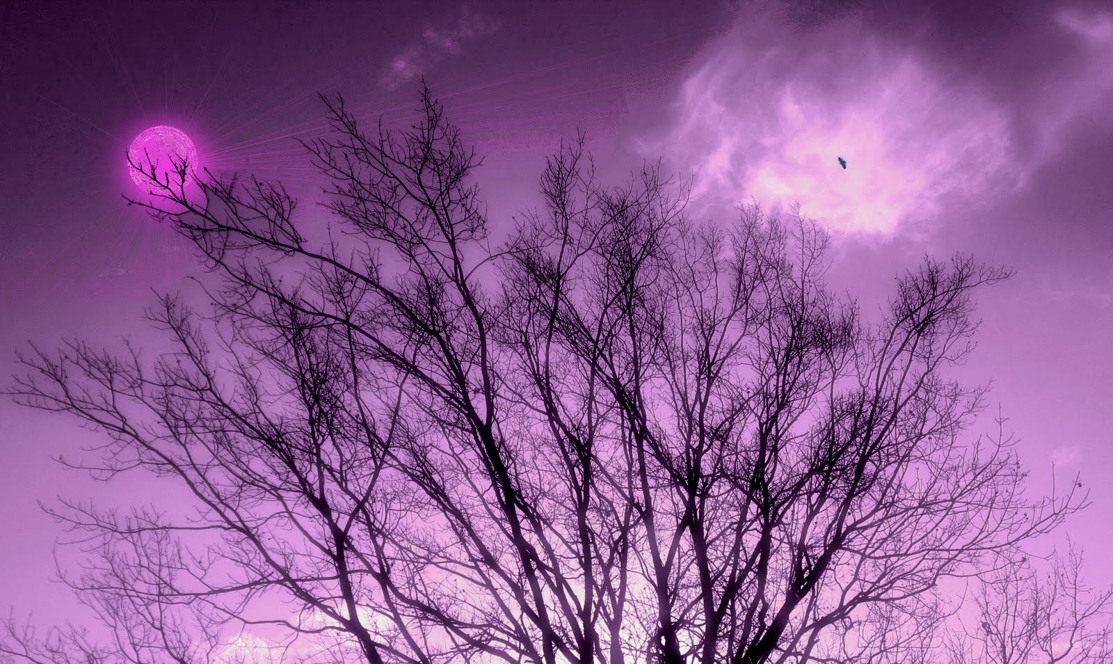 Indigo Sky Wallpapers on WallpaperDog