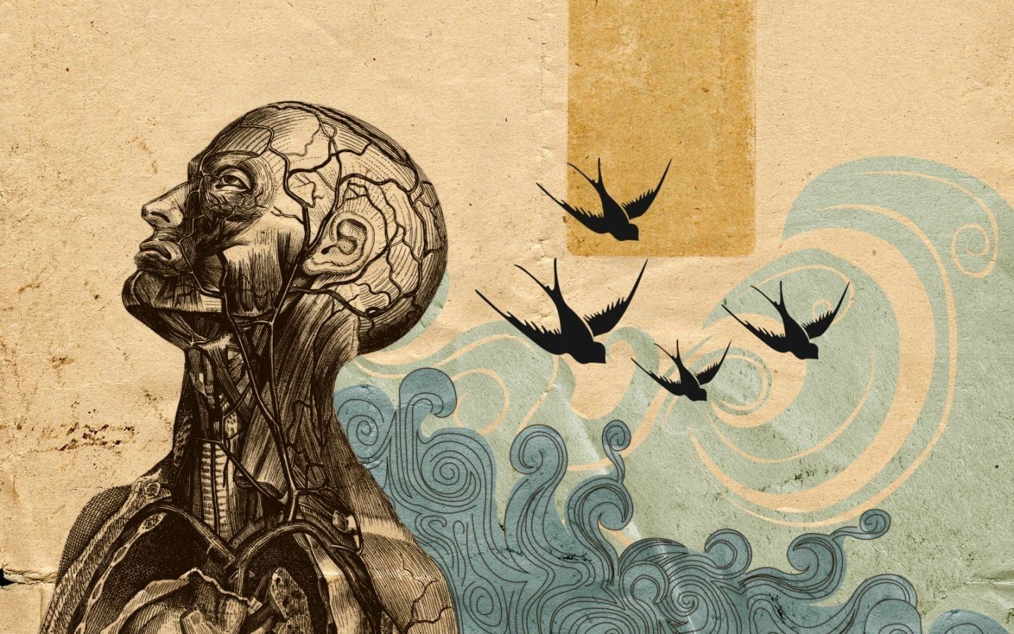 Medical Anatomy Wallpapers on WallpaperDog