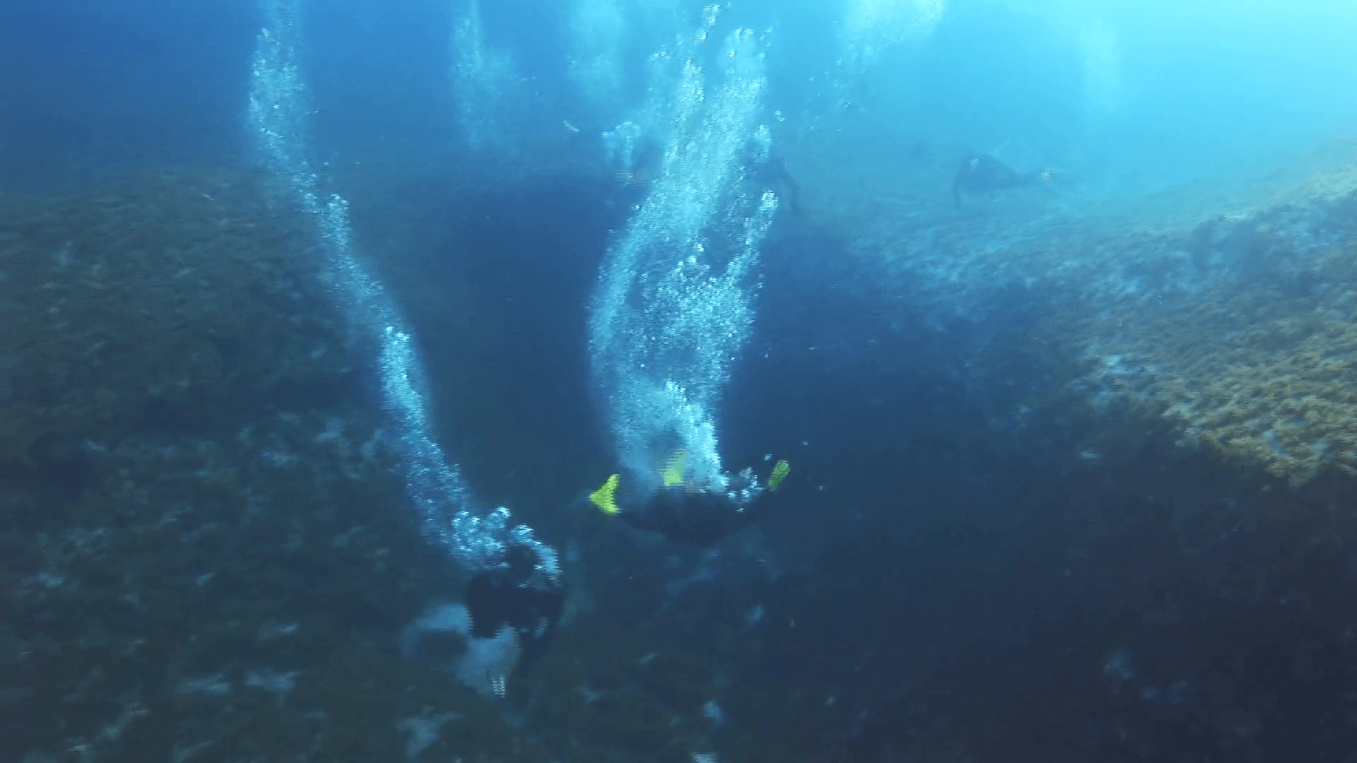 Bahamas Underwater Wallpapers on WallpaperDog