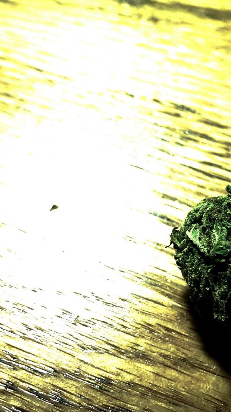 Marijuana Trichome Wallpapers on WallpaperDog