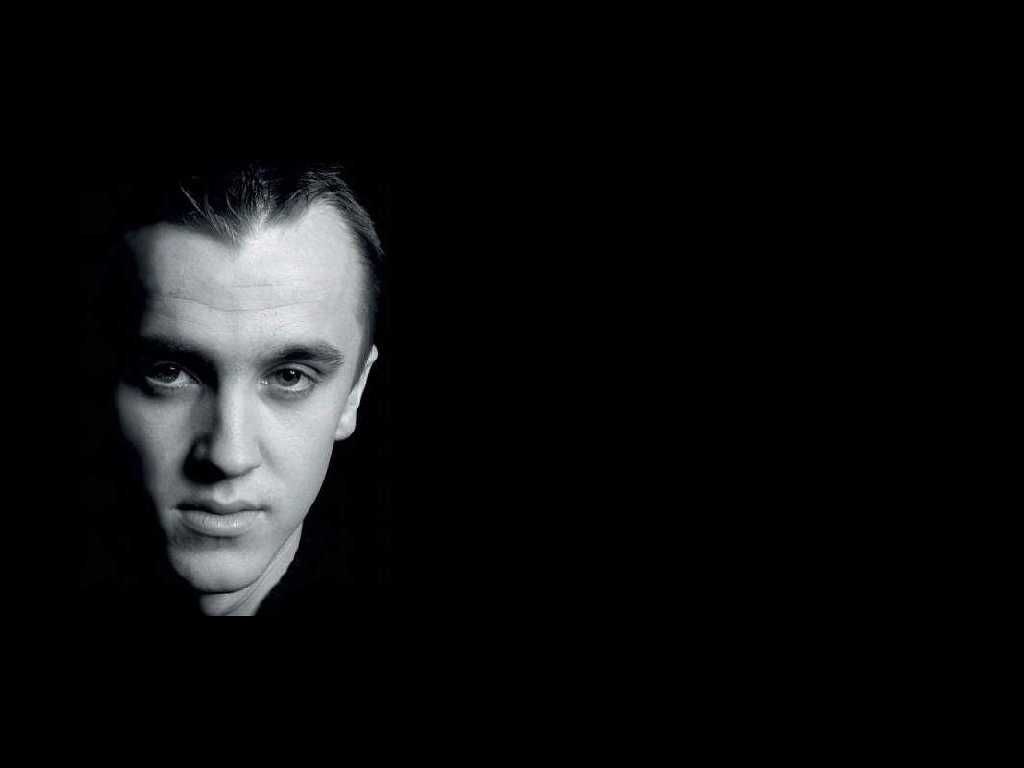 Tom Felton Wallpapers on WallpaperDog