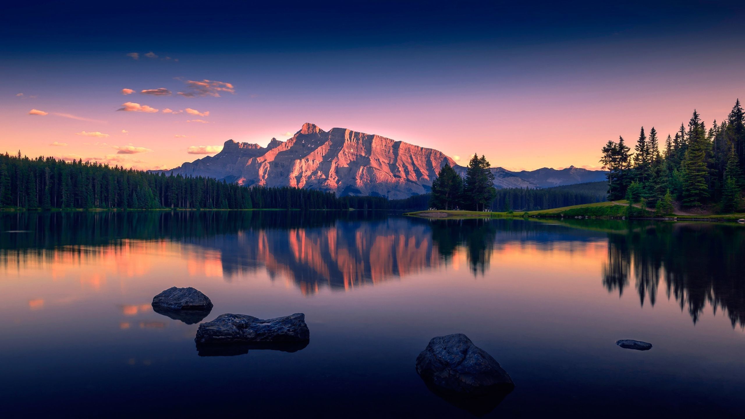 2560X1440 Nature Wallpapers On WallpaperDog