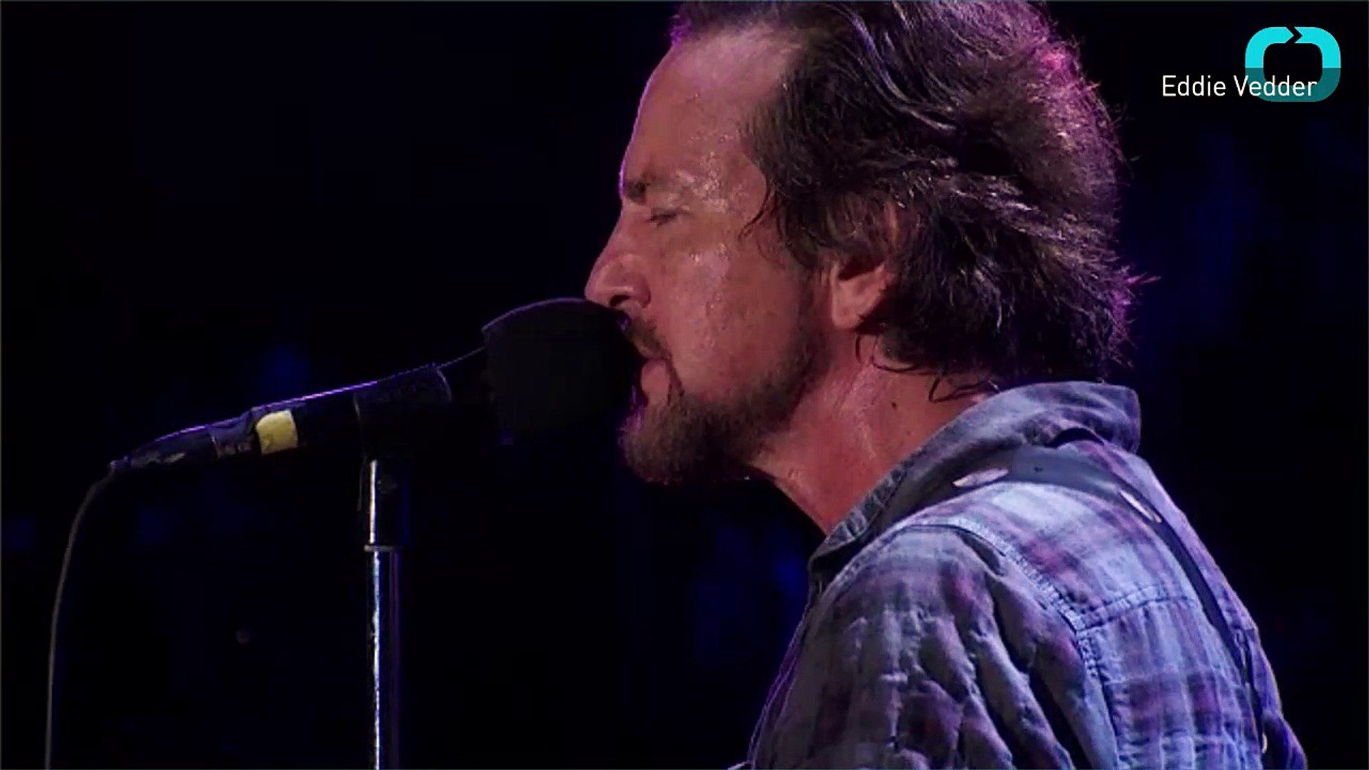 Eddie Vedder Wallpapers on WallpaperDog