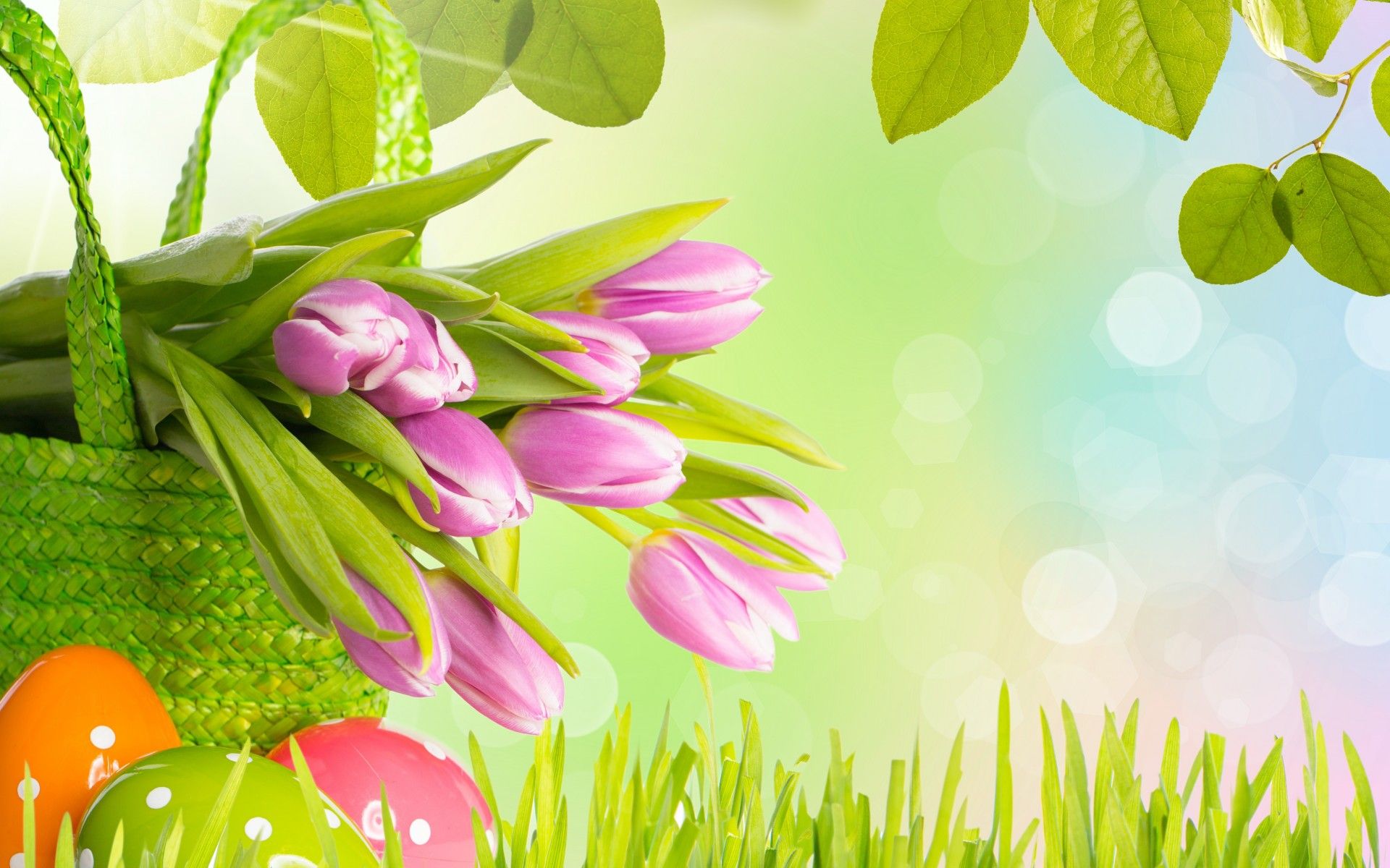 Happy Spring Wallpapers on WallpaperDog