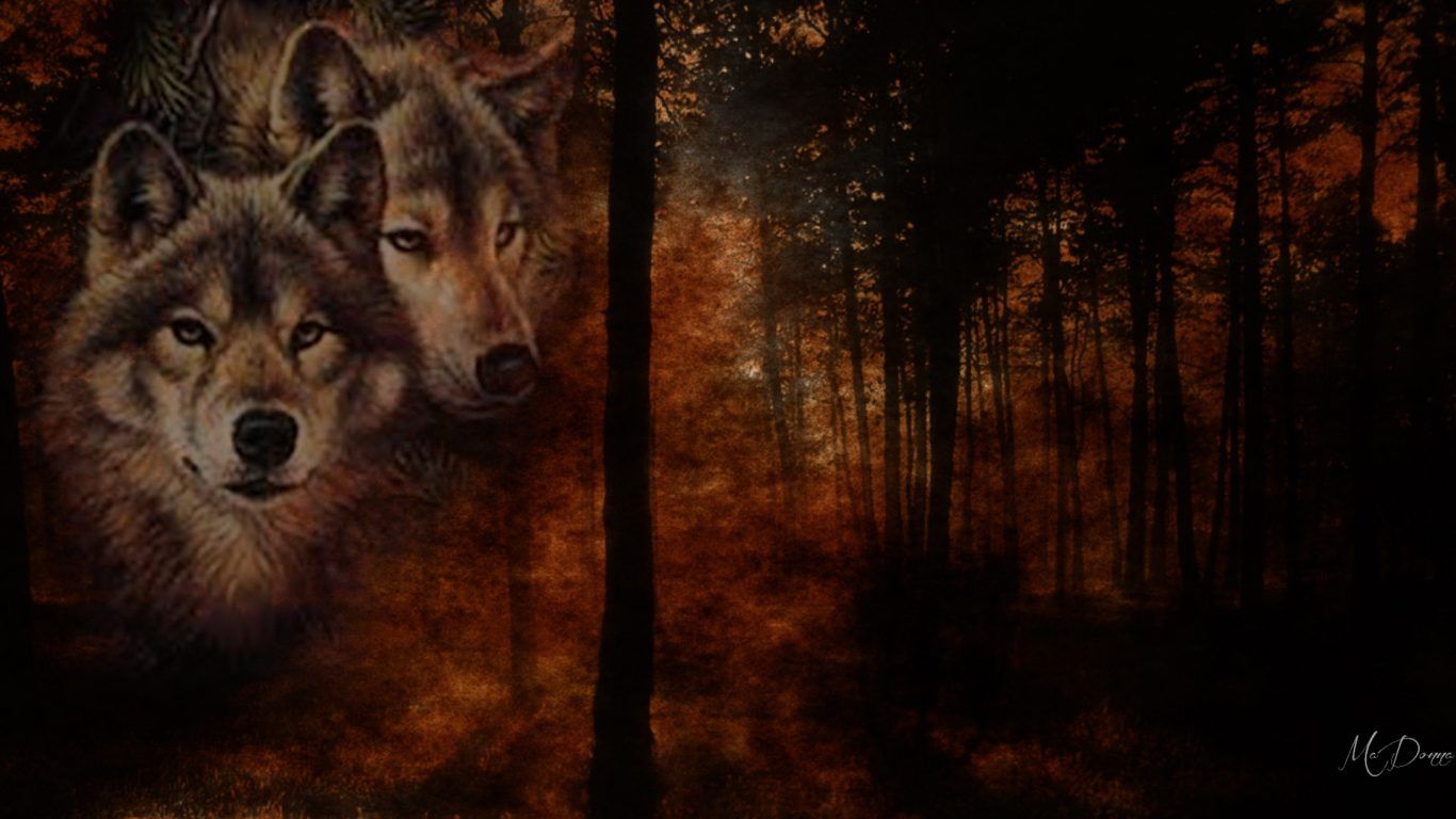 Forest Wolves Wallpapers on WallpaperDog
