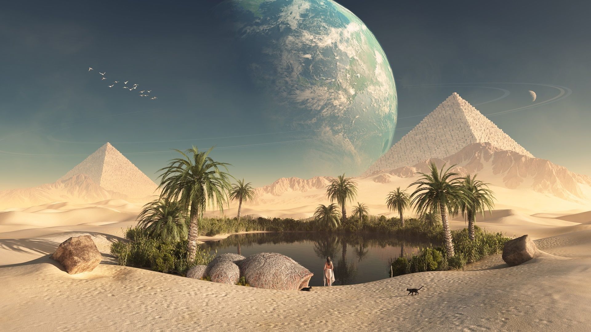 Amazing HD Wallpapers on WallpaperDog