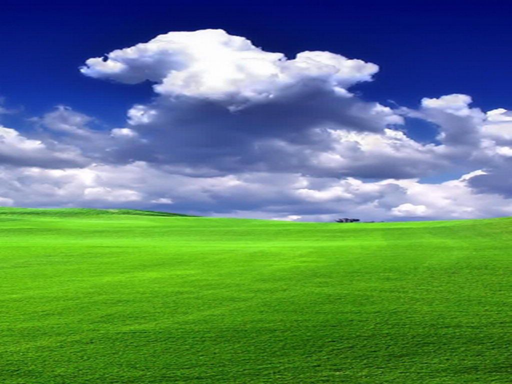 Most Beautiful Desktop Wallpapers on WallpaperDog