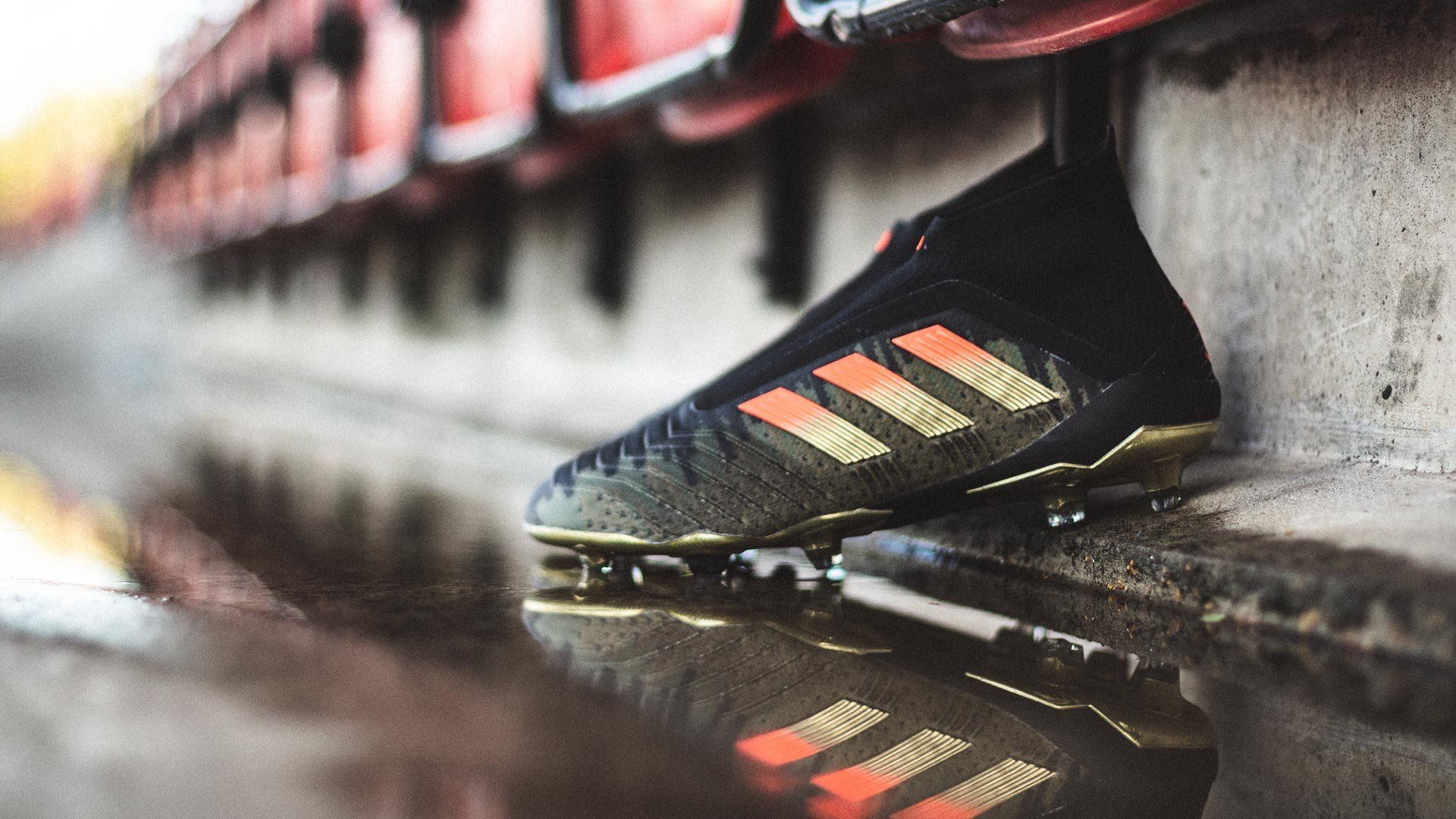 Predator Adidas Pogbawallpaper Wallpapers on WallpaperDog