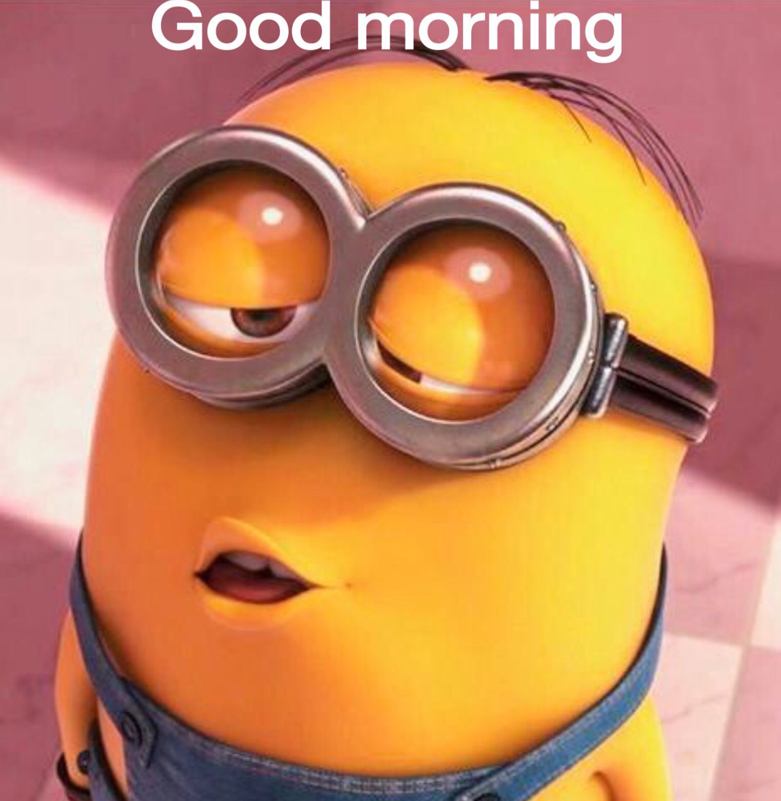 Good Morning Minions Sunday Wallpapers on WallpaperDog