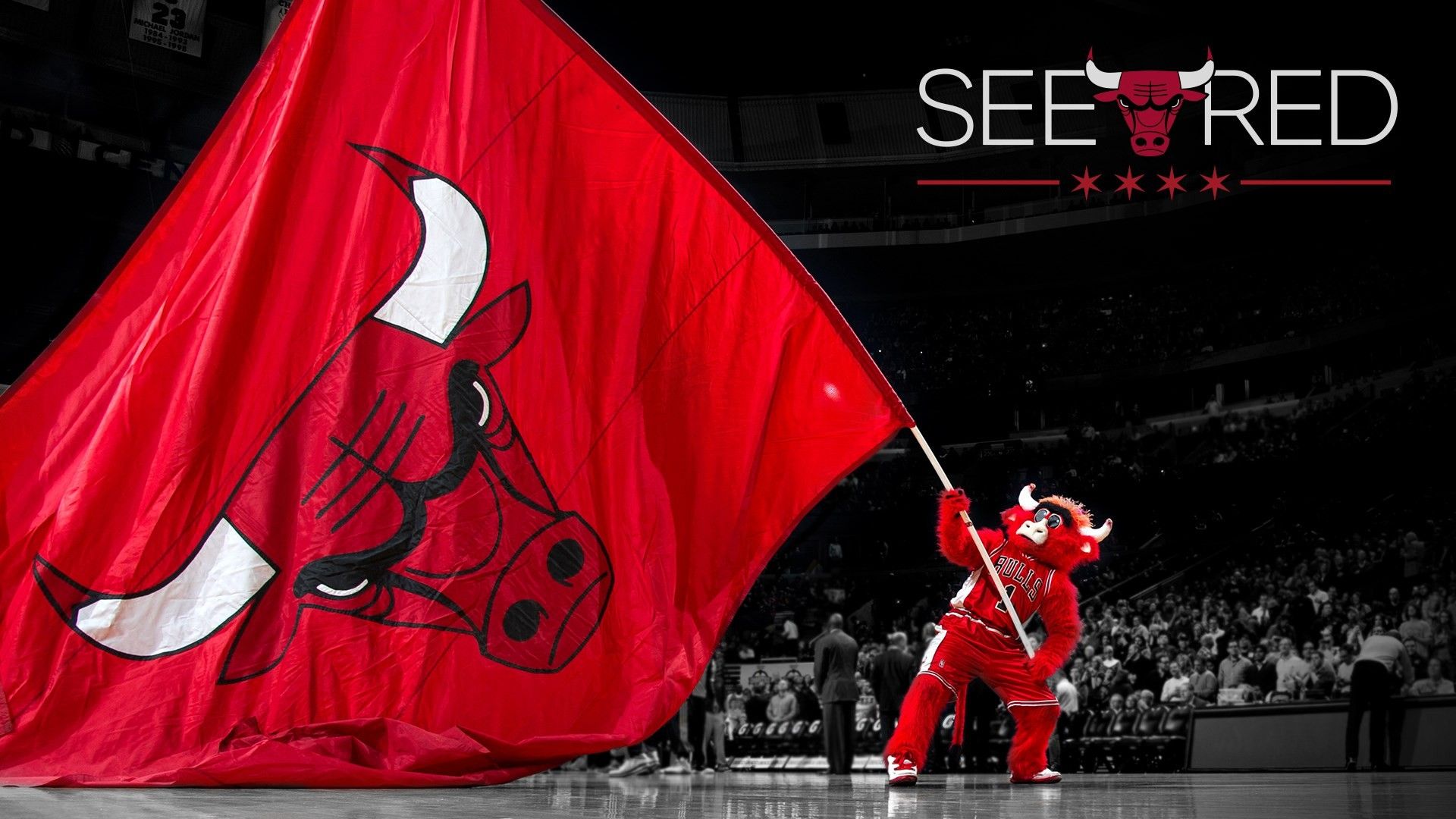 Chicago Bulls Desktop Wallpapers on WallpaperDog
