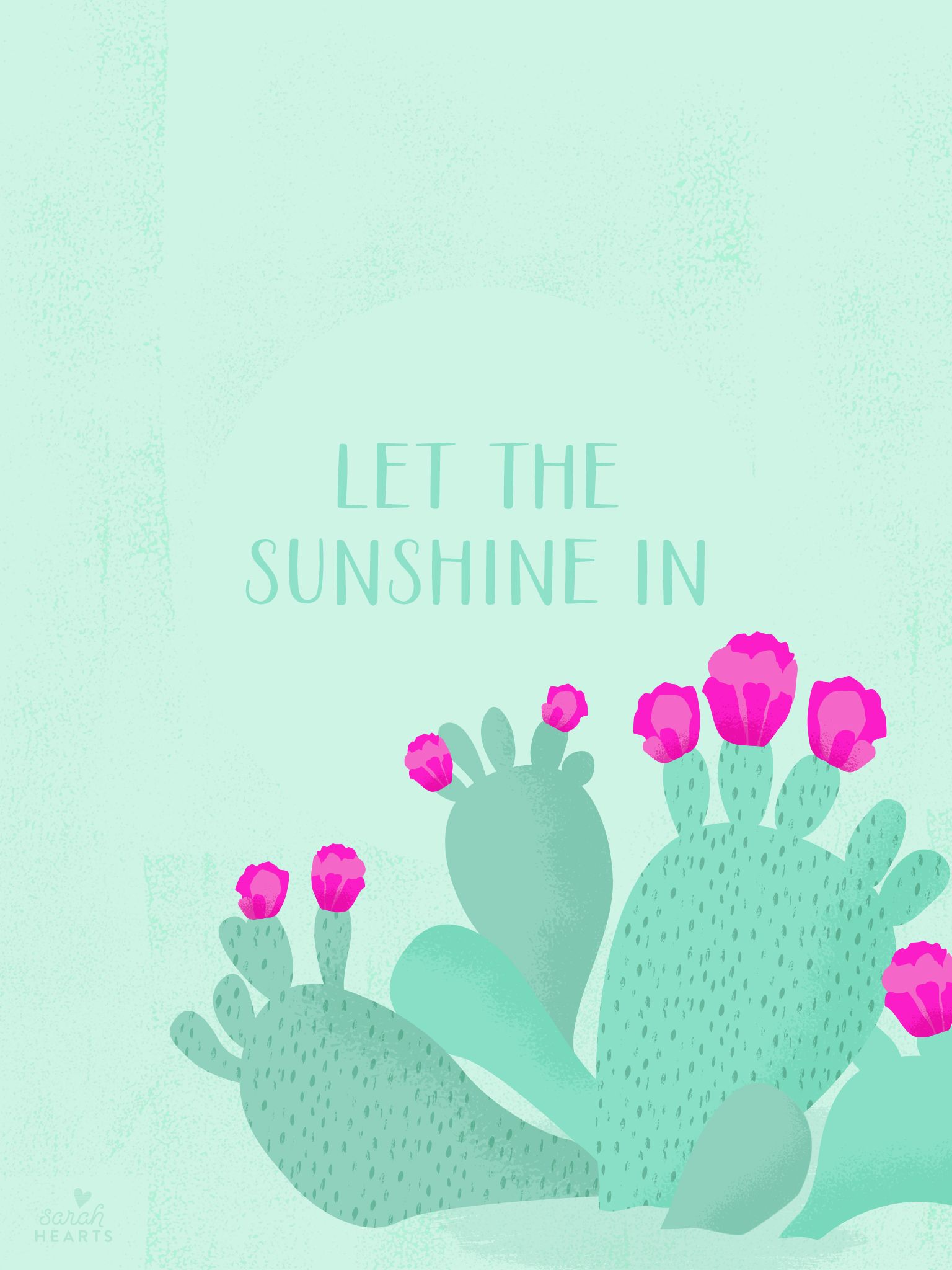 Catus Baby Pink Wallpapers on WallpaperDog