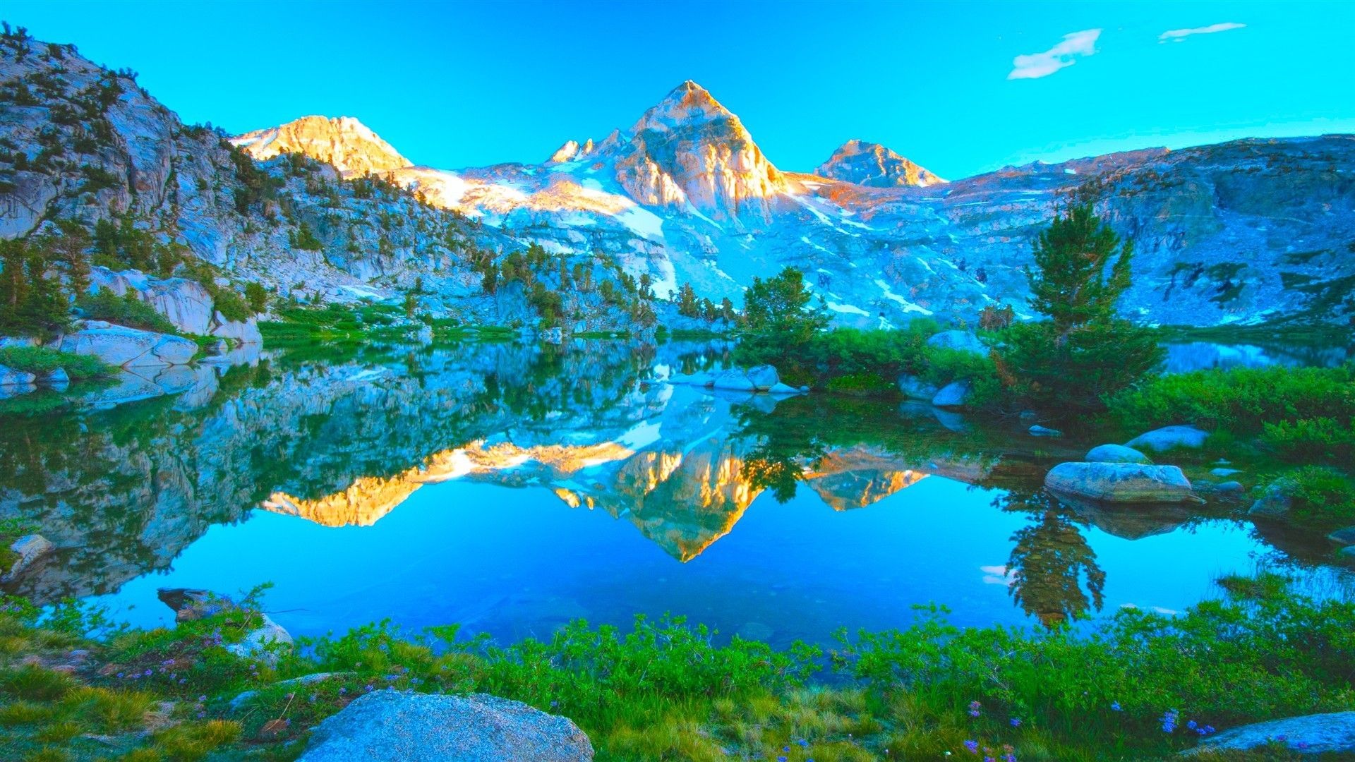 B S u T p 900 High Quality Background Pc Sang Tr ng c o Ch t L ng Si u N t