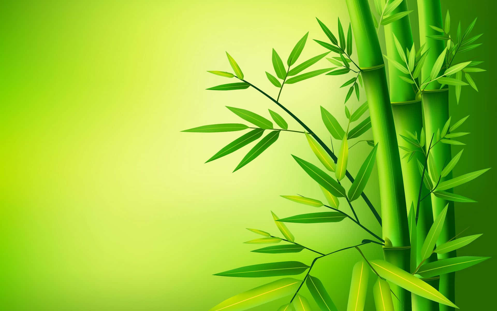 Bamboo Wallpapers On WallpaperDog Bamboo Wallpapers On WallpaperDog