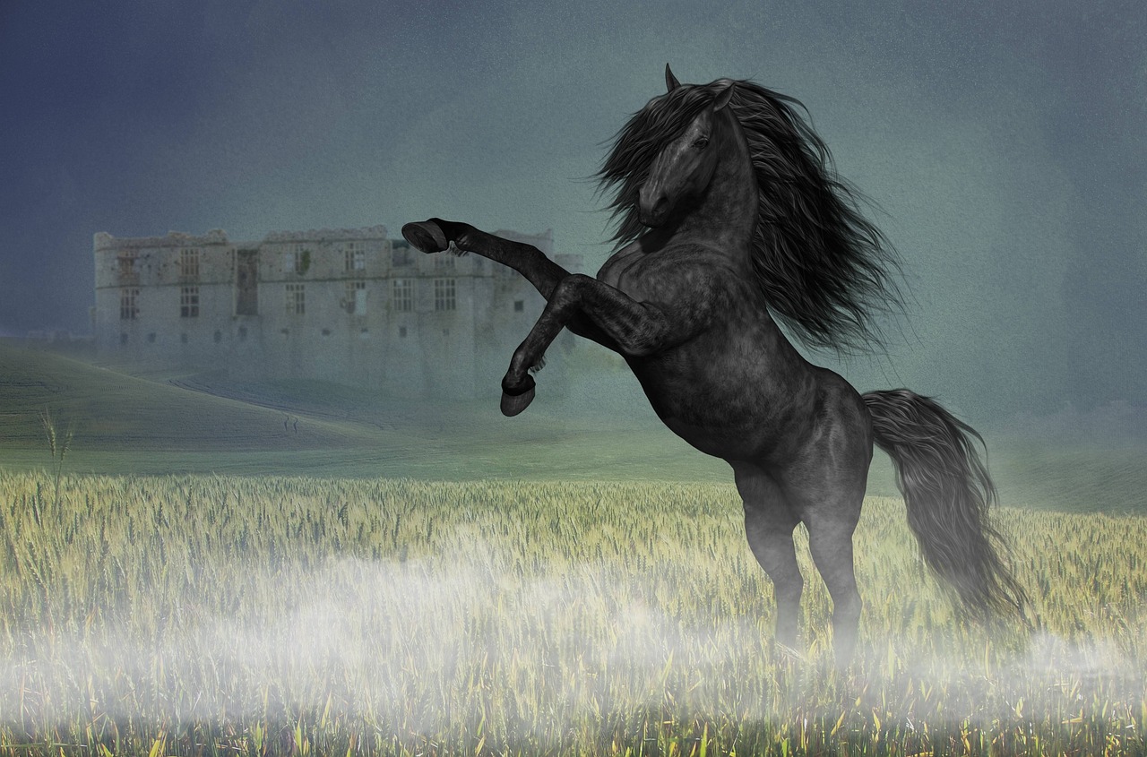 Stallion horse Wallpapers on WallpaperDog