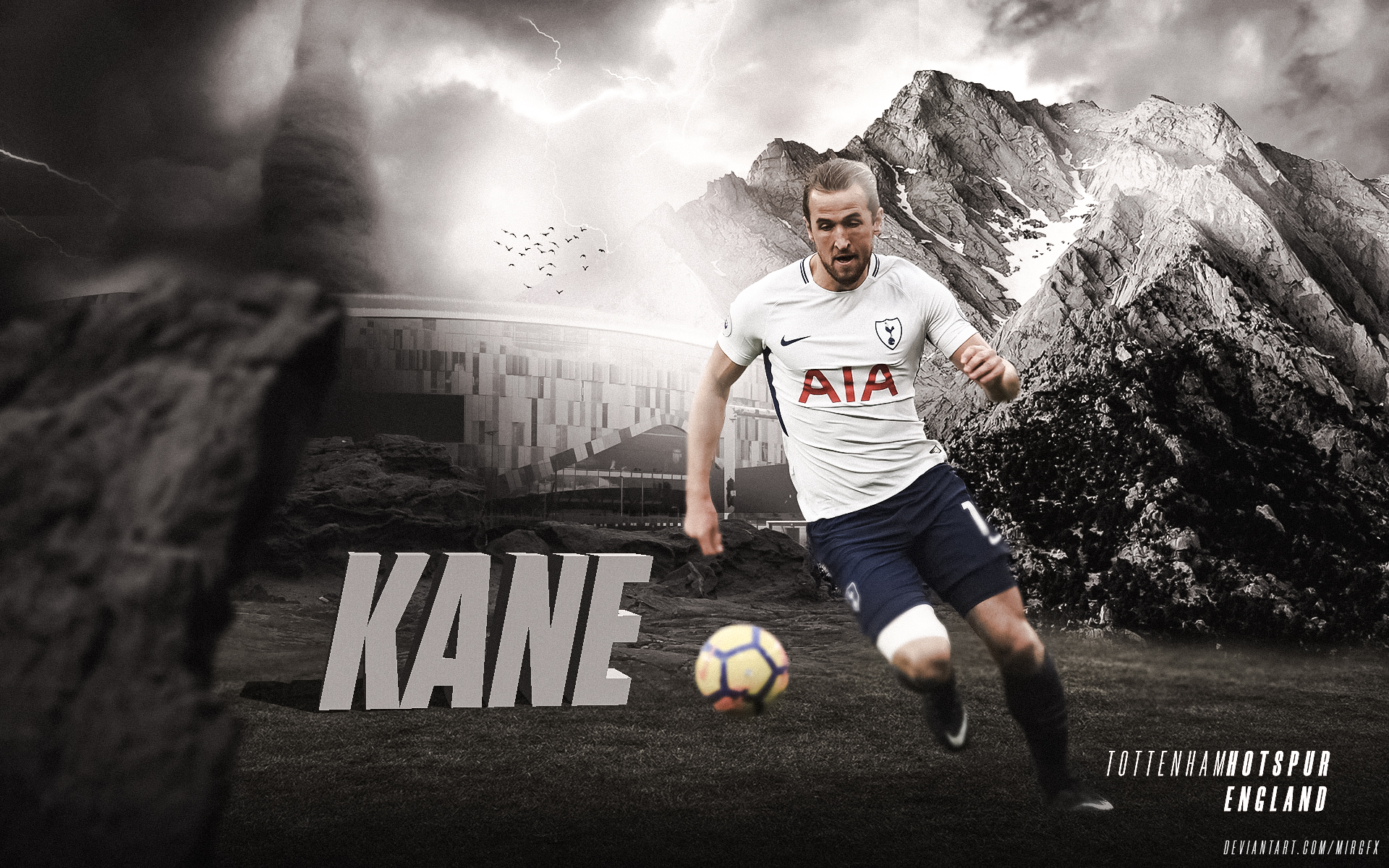 Harry Kane Wallpapers on WallpaperDog