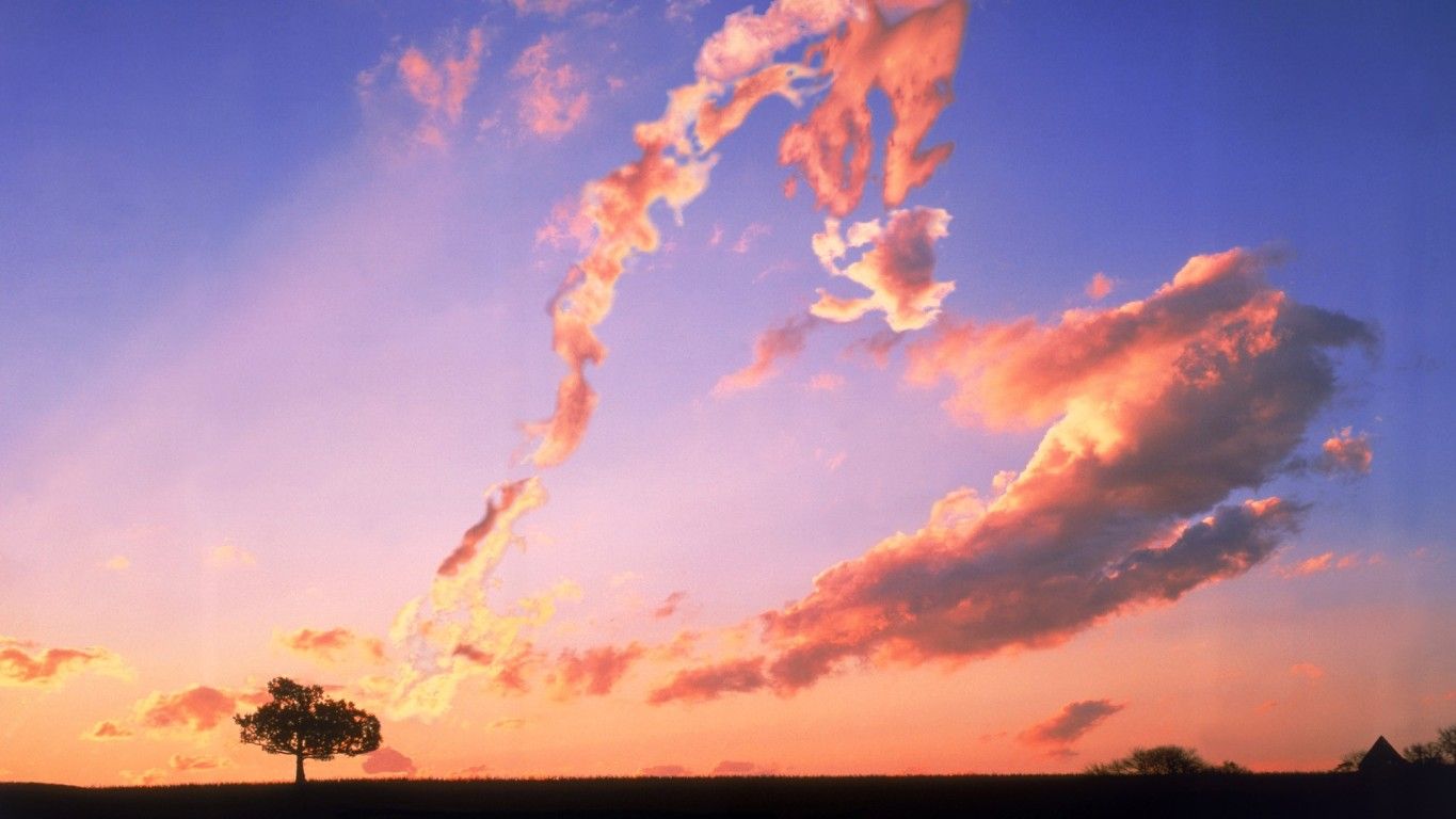Interesting Wallpapers on WallpaperDog