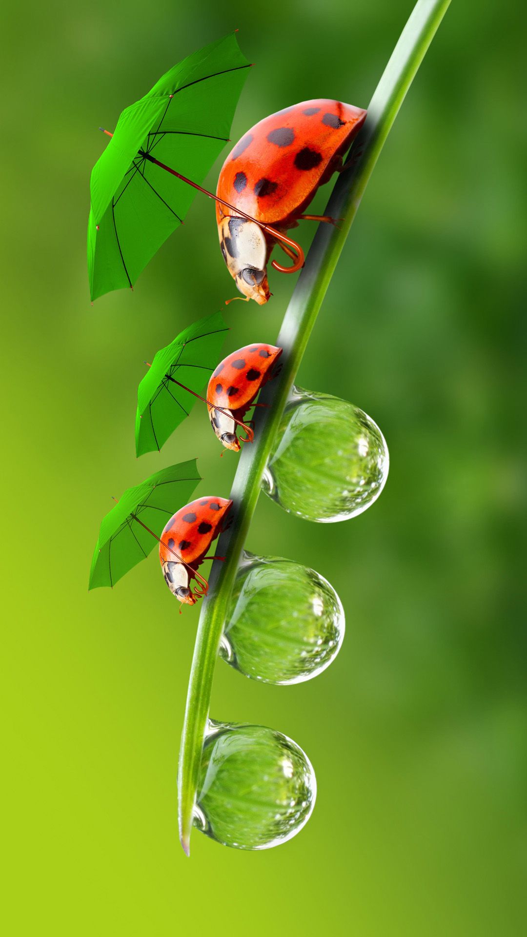 Interesting Wallpapers on WallpaperDog