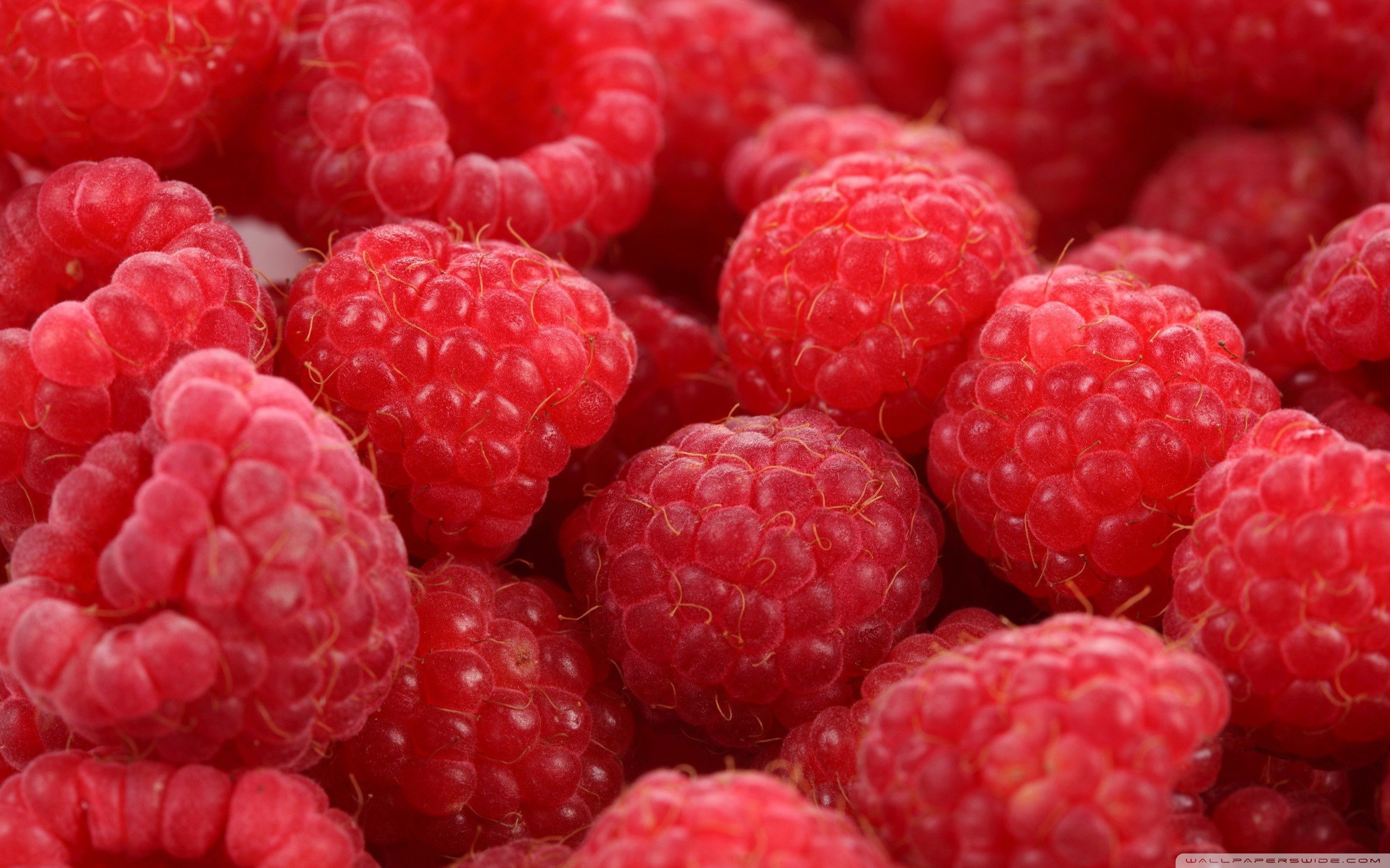 Raspberry Wallpapers on WallpaperDog