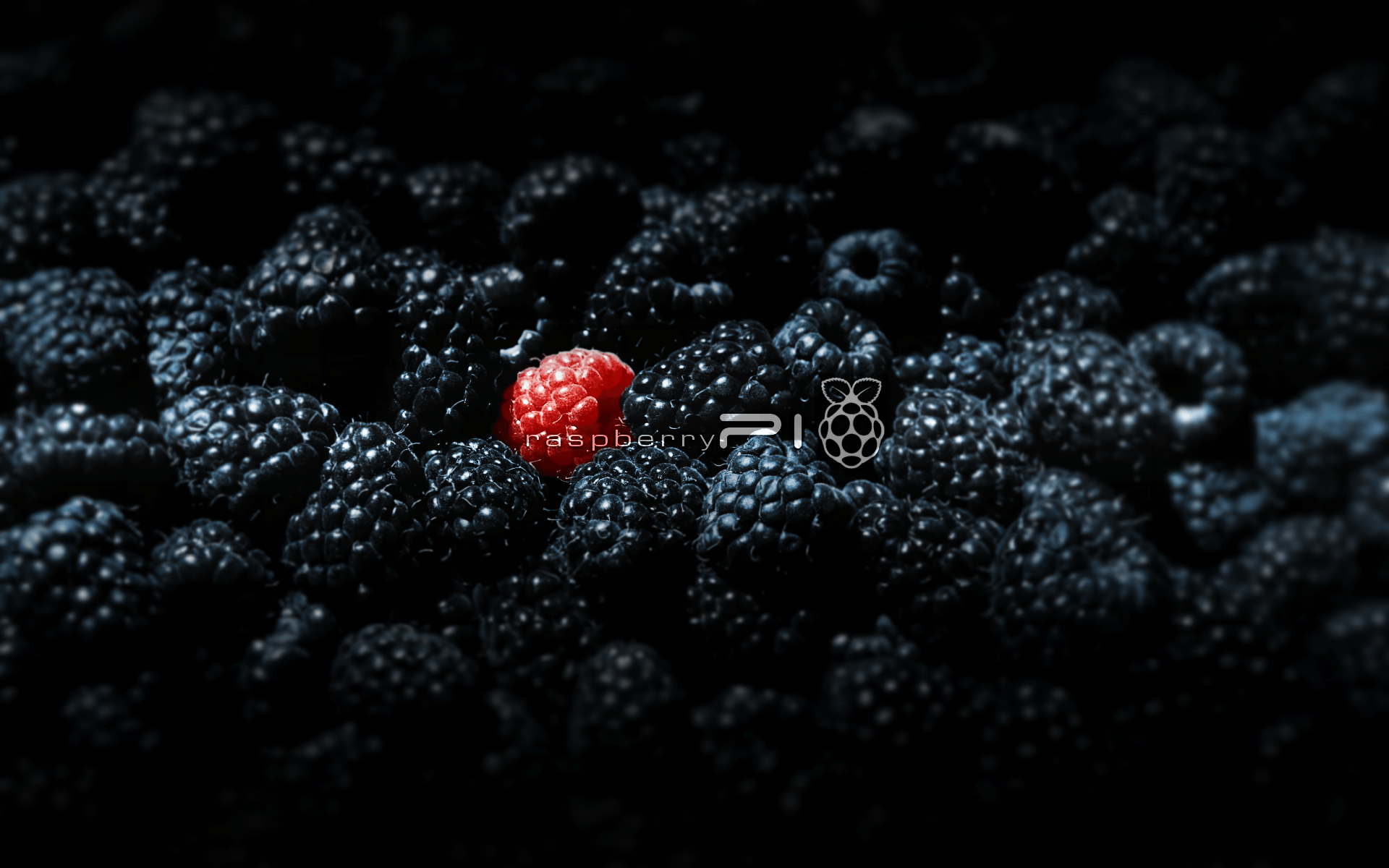 Raspberry Wallpapers on WallpaperDog