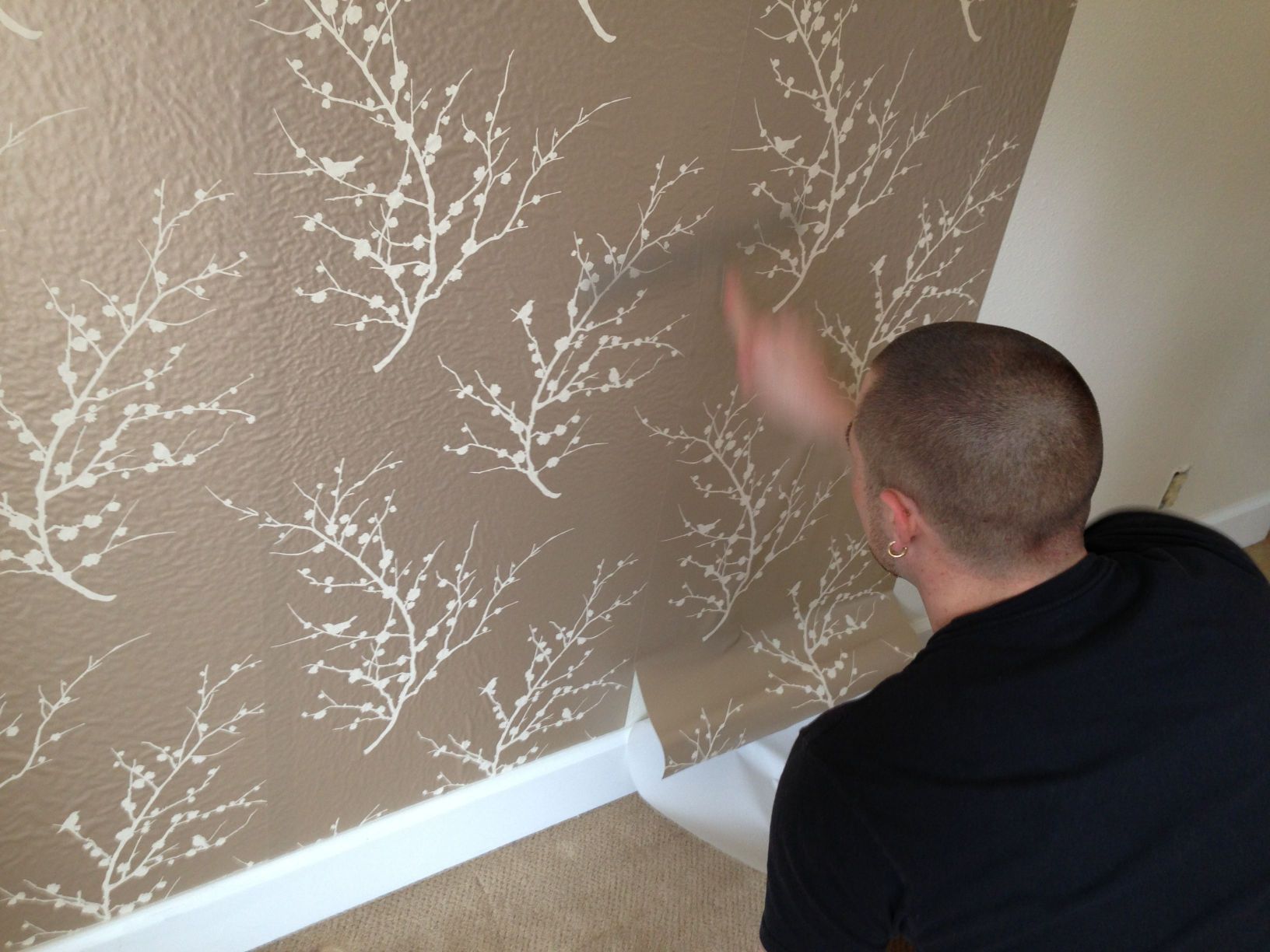 Sherwin-Williams Wallpapers on WallpaperDog